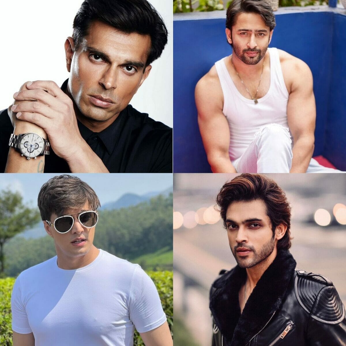 Are Shaheer Sheikh, Asim Riaz, and Karan Singh Grover in the race for ...
