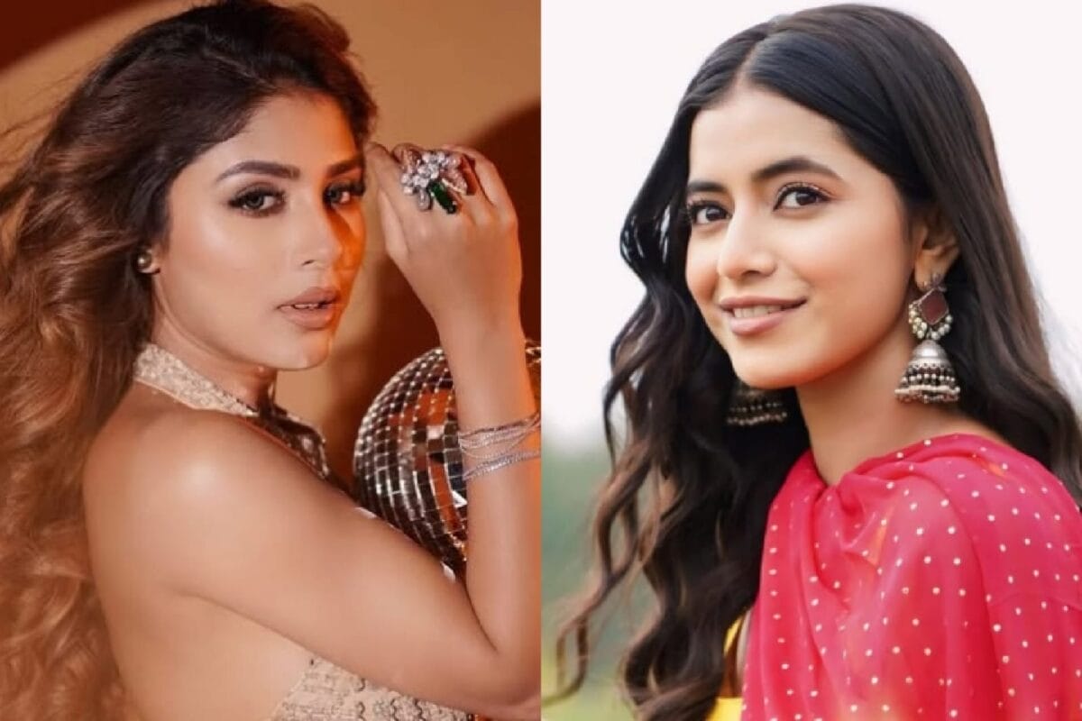 Alisha Parveen Reacts to Being Replaced Overnight from Star Plus ...