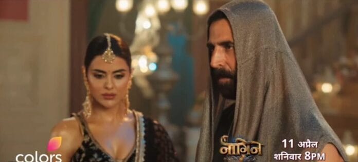 Naagin 7: Naag Raj will help Ahana to fight back against Yaman ...